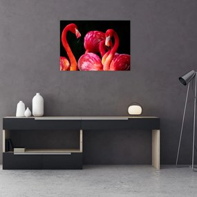 Skleněný obraz červených plameňáků (70x50 cm)