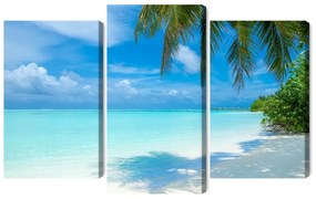 Vícedílný obraz Pláž Na Maledivách Nedostatek Nedostatek Přírodní plátno 120x80