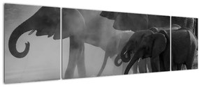 Obraz slonů - černobílý (170x50 cm)