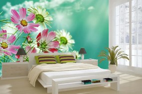 DIMEX | Samolepicí vliesová fototapeta na zeď Letní květy II. MA-5-1343 | 375 x 250 cm | zelená, bílá, růžová