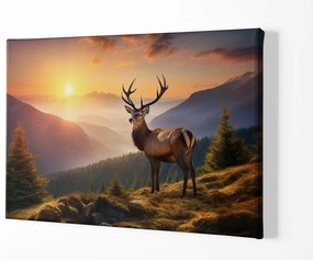 Obraz na plátně - Jelen se vyhřívá při západu slunce FeelHappy.cz Velikost obrazu: 150 x 100 cm