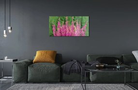 Obraz na skle květiny vřesy 125x50 cm