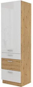 Potravinová kuchyňská skříňka Arryn 60 DKS-210 3S 1F (dub artisan + lesk bílý). 1024697