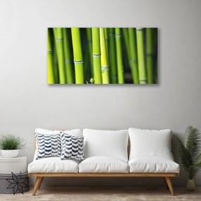 Obraz na plátně Bambus Příroda Rostlina 125x50 cm