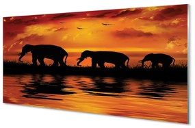 Obraz na skle sloni West Lake 120x60 cm