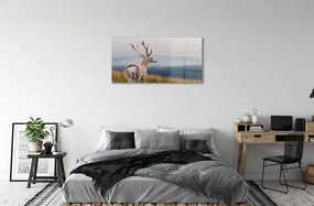 akrylový obraz jelen hory 100x50 cm