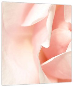Obraz - Růže (30x30 cm)