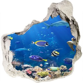 Wallmuralia Díra 3D fototapeta nástěnná Korálový útes 75x75 cm