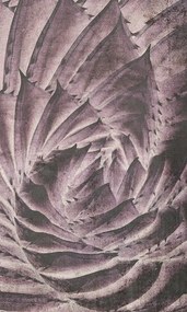 DIMEX vliesová fototapeta Cactus Abstract 150 x 250 cm MS-2-0352