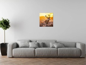 Gario Obraz s hodinami Silný jelen Rozměry: 30 x 30 cm