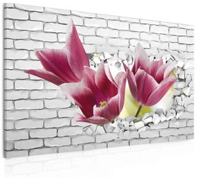 Malvis ® Obraz tulipány ve zdi Velikost: 90x60 cm