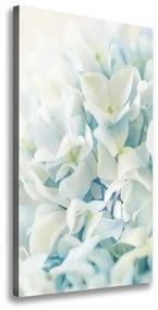 Wallmuralia Vertikální Foto obraz na plátně Květ hortensie 50x100