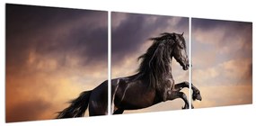 Obraz koní (120x40 cm)