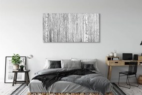 akrylový obraz Černá a bílá strom les 140x70 cm