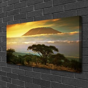Obraz na plátně Strom Hory Příroda 140x70 cm