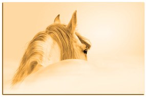 Obraz na plátně - Andaluský kůň v mlze 1219FA (90x60 cm  )