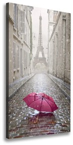 Wallmuralia Vertikální Foto obraz na plátně Deštník Francie 50x100