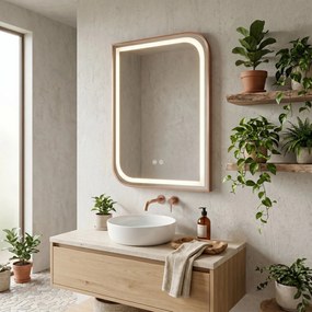 Rea Zrcadlo 70x50 cm s vyhříváním a regulovatelným LED osvětlením HOM-00304 růžová zlatá kartáčovaná