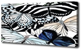 Wallmuralia Foto obraz na plátně Motýli a květiny 100x50