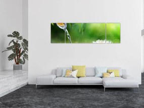 Obraz - Lotus (170x50 cm)