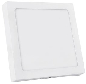 Indeluz 599D-L3106A-01 stropní přisazené LED svítidlo Gia, čtvercové, bílé, 6W, 3000K, 110°, 12cm, IP23