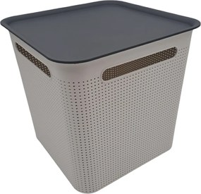 Rotho Úložný box s víkem a s madly BRISEN 18l, 29x29x29cm, bílý