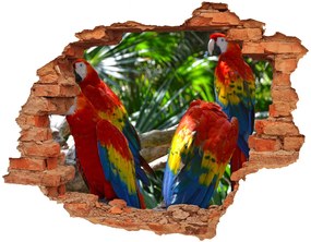 Wallmuralia Díra 3D fototapeta nálepka Papoušek Ara 90x70 cm