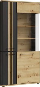 MOLTO c | vitrína ML2 + LED osvětlení v ceně | 93 cm | artisan/černá