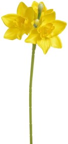 narcis 36 cm - žlutá