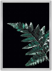 Plakát Dark Fern Leaf