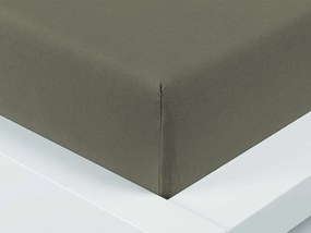 XPOSE® Jersey prostěradlo Exclusive s lycrou - šalvějové 180x200 cm