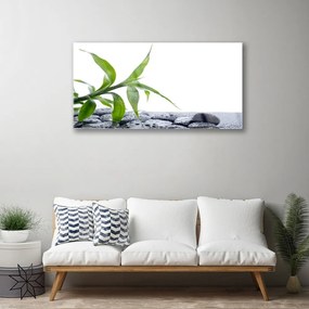 Obraz na skle List Příroda Kameny Rostlina 140x70 cm