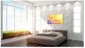 Malvis ® Obrazy na plátně Pampeliška v rose Velikost: 120x80 cm