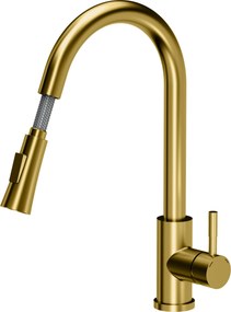 Kuchyňská dřezová baterie QUADRON JULIA s vytahovací sprchou zlatá PVD NANO
