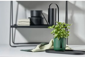 Zone Denmark Samozavlažovací květináč na bylinky Herb &amp; Sprout Jungle Green 10 x 11,6 cm