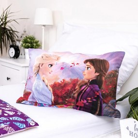 Dětské ložní povlečení bavlněné Frozen Baby rozměr: 135x100 + 40x60, Zapínání: Zip