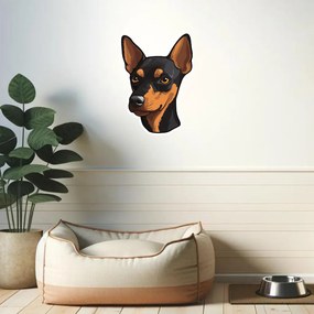 PIPPER. Nálepka Trpasličí pinč Velikost: 60cm
