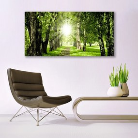 akrylový obraz Les Slunce Stezka Příroda 120x60 cm