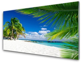 Plexisklo-obraz Tropická Pláž Moře Výhled 125x50 cm