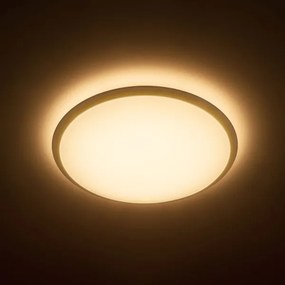 Philips 31821/31/P5 - LED stropní svítidlo WAWEL 1xLED/17W/230V