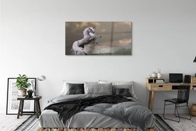akrylový obraz Unicorn top 125x50 cm
