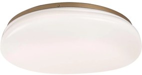 Rabalux 75053 - LED Koupel. stropní svítidlo CALIOPE LED/24W/230V IP44 pr. 41 cm