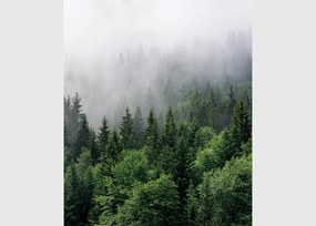 Vliesová fototapeta na zed' Les v Ranní Mlze | 225 x 270 cm | DFT3P5901