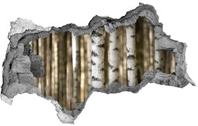 Wallmuralia Samolepící díra na stěnu nálepka Břízy 95x73 cm