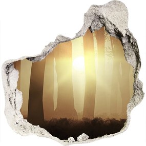 Wallmuralia Nálepka fototapeta 3D výhled Mlha v lese 75x75 cm
