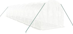Skleník s ocelovým rámem bílý 24 m² 12 x 2 x 2 m 3188032