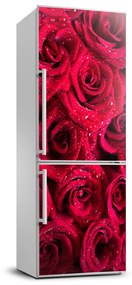 Wallmuralia Nálepka fototapeta na ledničku Červené růže 60x180 cm