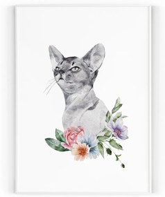 Plakát / Obraz Sphynx Pololesklý saténový papír 210 g/m² A4 - 21 x 29,7 cm