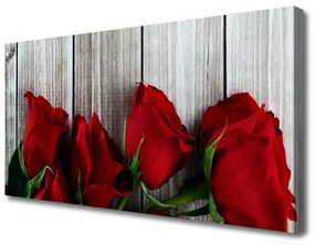 Obraz na plátně Růže Květiny Rostlina 140x70 cm