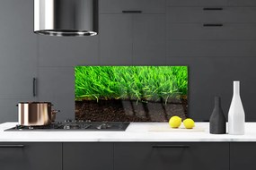 Kuchyňský skleněný panel Tráva Příroda Rostlina 140x70 cm